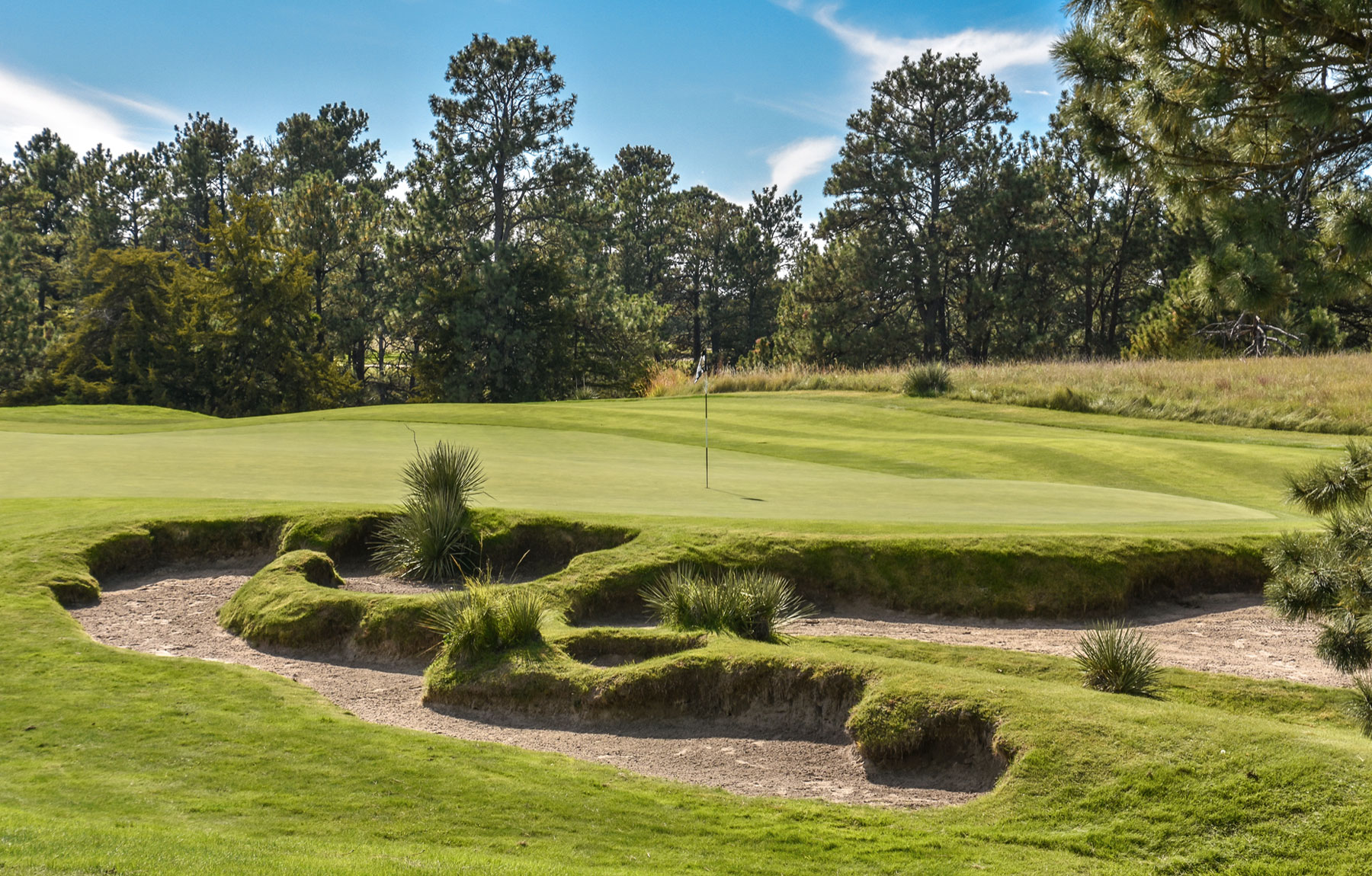 Our Non-Member Booking Window for 2025 Opens on January 13 - The ...